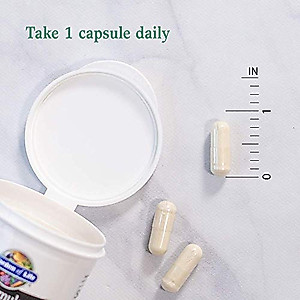 Garden of Life Dr. Formulated Probiotics Platinum Series Immune+ 90 Billion CFU Guaranteed, One a Day Probiotic Supplement Acidophilus & Rhamnosus, Vegan, Non-GMO Immune System Support, 30 Capsules