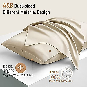 Silk Pillowcase 2 Pack for Hair and Skin,22 Momme 100% Mulberry Silk & Natural Wood Pulp Fiber Grade 6A Dual-Sided Silk Pillow Cases with Hidden Zipper,600 Thread Count(Champagne,Standard 20"x26")
