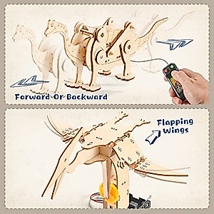 STEM Projects Kits for Kids Age 8-10-12, 4 in 1 3D Wooden Puzzles Dinosaur Craft for 6-8, Building Toys for Boys Ages 8-12, Wood Woodworking Model Kits, DIY Dino Robot Kit