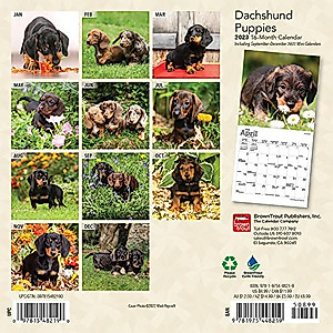 Dachshund Puppies | 2023 7 x 14 Inch Monthly Mini Wall Calendar | BrownTrout | Animals Dog Breeds Puppy DogDays