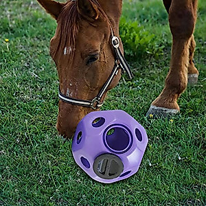AMLESO Horse Treat Ball Hay Feeder Toy Ball Feeding Toy for Horse Sheep, Horse Stable Stall Paddock Rest, Purple