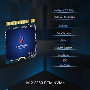 GAMERKING 256GB M.2 2230 SSD NVMe PCIe Gen 3.0X4 Internal Solid State Drive Compatible with Steam Deck/Microsoft Surface pro 8/pro 7+/pro X/laptop3/laptop4(M.2 2230 PCIe 256GB)