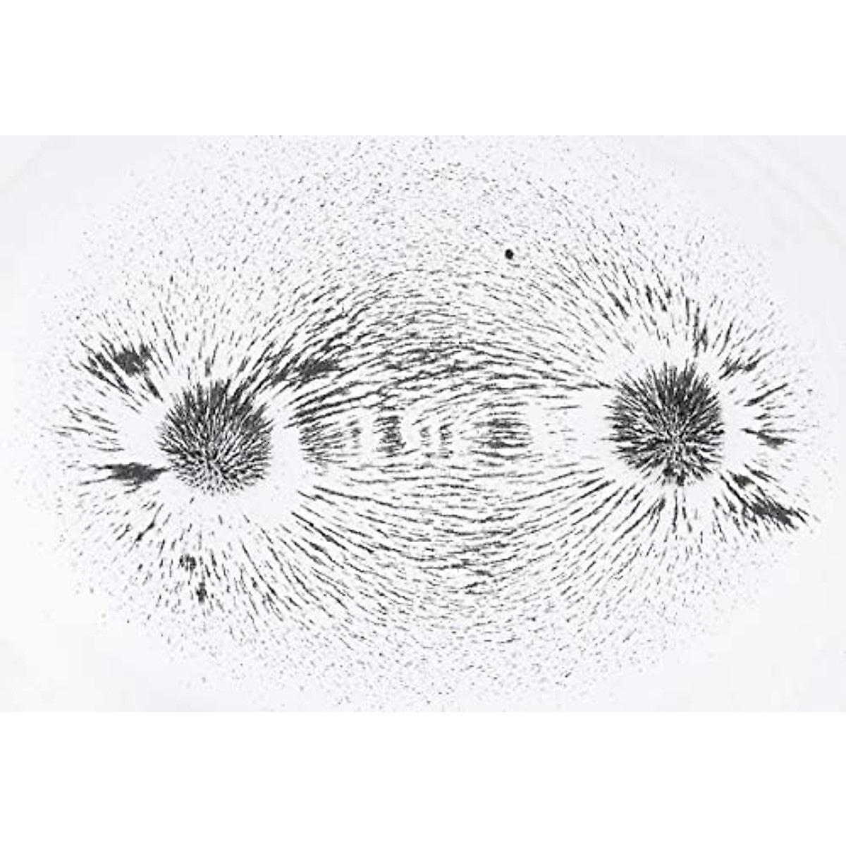 Bulk Iron Filings- 1 LB Iron Filings for Science Experiments, by American Heritage Industries