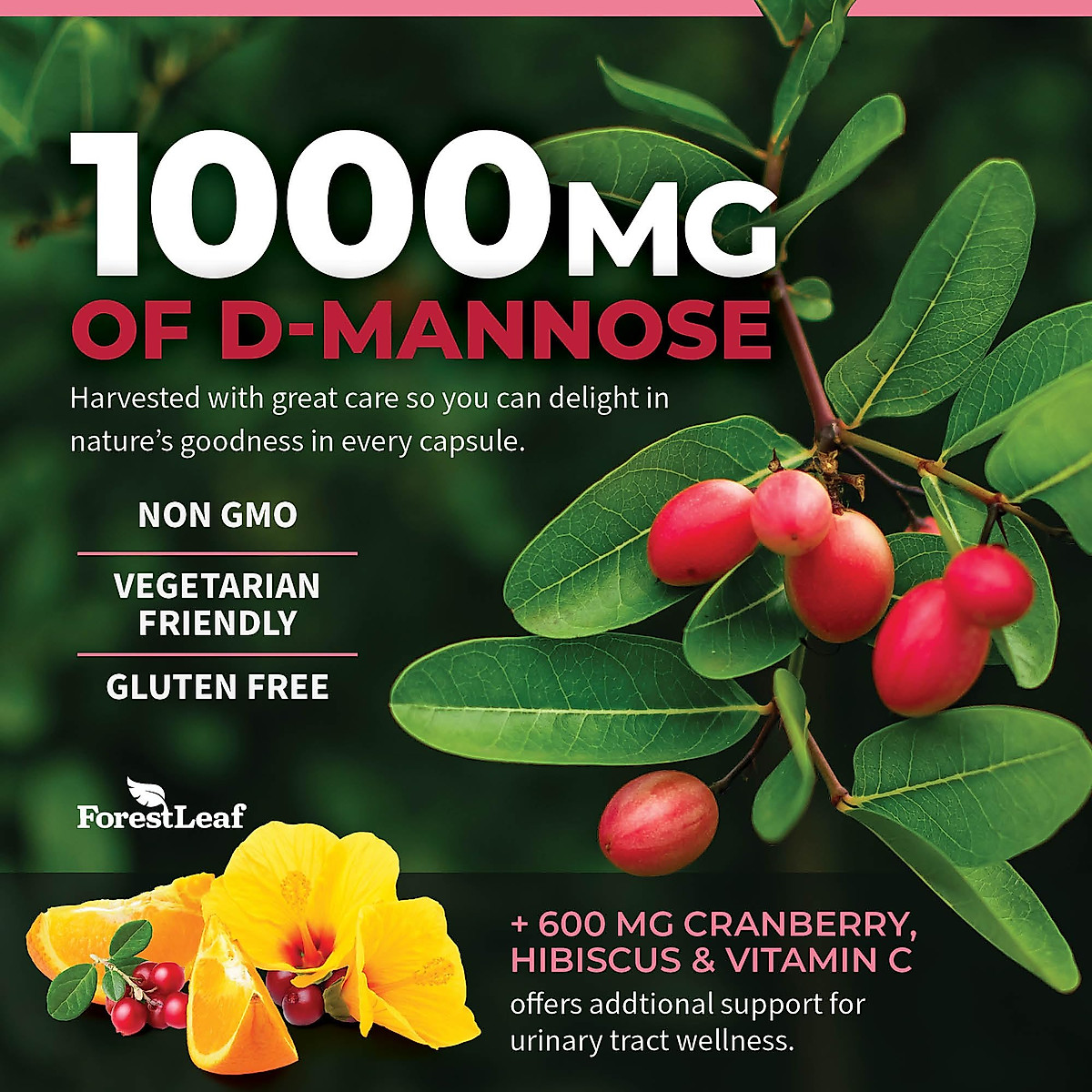 ForestLeaf D Mannose 1000mg Capsules - D-Mannose with Cranberry, Hibiscus & Vit C, Urinary Tract Health for Women and Men, Organic DMannose Pills for UTI, Urinary Health & Bladder Support 120 Capsules