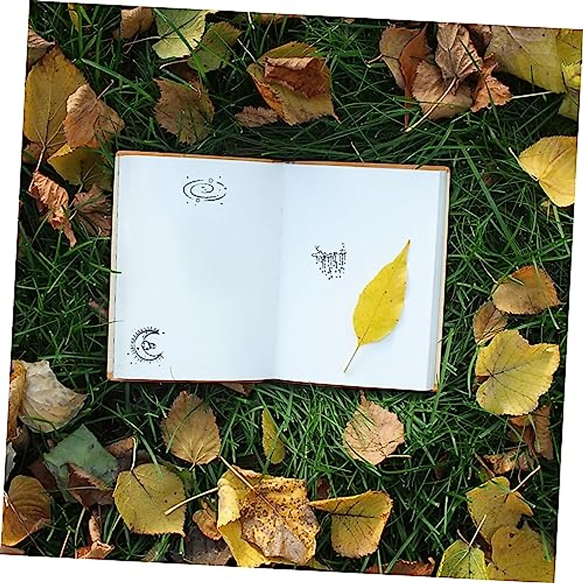 LIGHTAOTAO Kids Stamps 1 Box Wooden Stamp Set Wooden Stamps Stamps Stampers for Stampers Birthday Wood Mounted Rubber Stamp DIY Hand Account Seal Creative Stamps Wood Stamps Kids Stampers