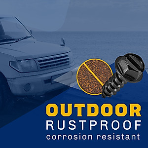 Black License Plate Screws, Rustproof 18-8 Stainless Steel, Black Oxide Finish Applied in The USA by Makers Bolt (Pack of 4)