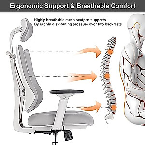 BV Dual Backrests Ergonomic Office Chair, Lumbar Support Office Desk Chair Back Support, Breathable mesh Office Chair 3D Adjustable Armrest (Grey)