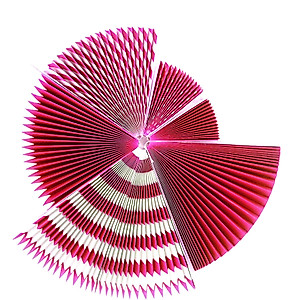 Hot Pink and Black Birthday Party Hanging Paper Fans Decorations - Women Girls Birthday Party Wedding Bridal Shower Bachelorette Carnival Party Ceiling Hangings Photo Booth Backdrops Decorations, 12pc