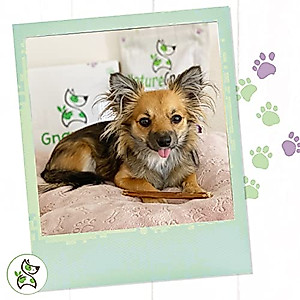 Nature Gnaws Mixed Bully Sticks for Small Dogs - Premium Natural Tasty Beef Bones - Simple Long Lasting Dog Chew Treats - Rawhide Free - 6 Inch