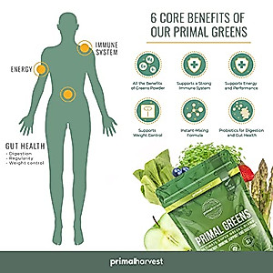 Primal Harvest Super Greens Powder, 30 Servings w/+50 Greens Superfood Chlorella, Probiotics, Green Tea, Wheatgrass, Kale, Turmeric, Green Superfood Powder for Energy - Primal Greens Green Powder