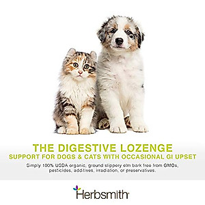 Herbsmith Organic Slippery Elm - Digestive Aid for Dogs and Cats - Constipation and Diarrhea Relief for Dogs and Cats - Megaesophagus Dog Aid- 75g