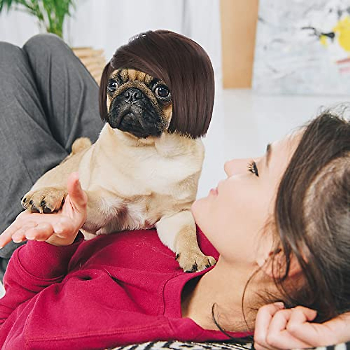 Cobee Funny Dog Cat Cosplay Wig, Pet Wig-Adjustable Costume Pet Funny Headwear Costumes Headgear for Small Medium Large Dog Cat Wigs Dress Up Decorations for Halloween, Christmas, Parties, Festivals