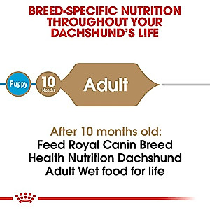 Royal Canin Breed Health Nutrition Dachshund Loaf in Gravy Pouch Dog Food, 3 oz Pouch (Pack of 12), 723085