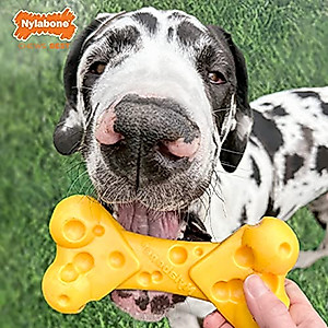 Nylabone Power Chew Cheese Bone Dog Chew Toy, Cute Dog Toys for Aggressive Chewers, Cheese Flavor, X-Large/Souper (1 Count)