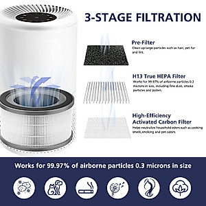 Vista 200 Replacement Filter, Compatible with LEVOIT Vista 200 Air Purifier, 3-in-1 H13 Grade True HEPA Replacement Filter, Compared Part #Vista 200-RF, 2 Pack