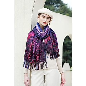RIIQIICHY Pashmina Shawls and Wraps for Evening Dresses Fall Winter Scarfs for Women Blanket Scarf Painting Printed Scarves