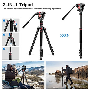 Tripod Camera Tripod, 72" Video Tripod with Fluid Head, Aluminum Heavy Duty Tripod with Carry Bag, Professional Camera Tripods & Monopods, Compatible with Video Camera, DSLR, Camcorder