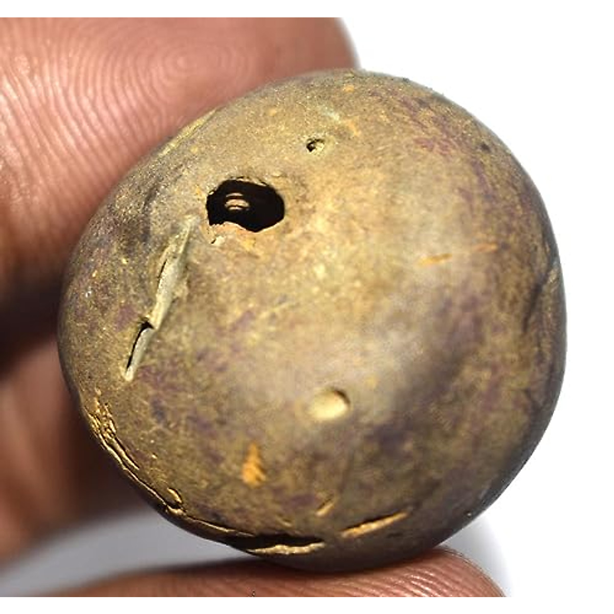 Rare Pitambara Shaligram - Gandaki River Nepal