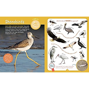 Backpack Explorer: Beach Walk