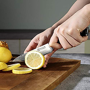 PAUDIN Utility Knife, 5'' Paring Knife, Damascus Kitchen Knife, 67-Layer Forged Blade Ultra Sharp Edge, Stainless Steel Knife, Full Tang G10 Handle with Triple Rivets, for Cutting Fruit and Vegetables