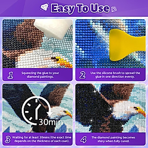 FILASLFT Diamond Painting,Paint by Diamonds for Adults, Diamond Art with Accessories & Tools,Wall Decoration Crafts,Relaxation and Home Wall Decor 12 x 16inch