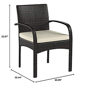 Christopher Knight Home Cordoba Outdoor PE Wicker Dining Chairs, 2-Pcs Set, Multibrown