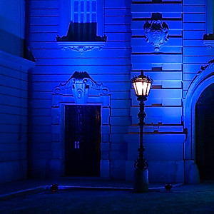 REMINDA Blue Flood Light Bulbs, 15W (100 Watt Equivalent) E26 Base Par38 LED Blue Light Bulb for Halloween Decor, Holiday, Christmas, Porch, Backyard (2 Pack)