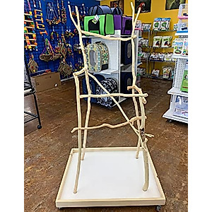 ExoticDad XS Parrot Stand - Customize Your Perch Designed Natural Dragonwood Bird Perch on Wheels Stand for Parrot, Cockatoo, Macaw, Conure, Birds, Cockatiel, African Grey - (24×36 Ft - B - 4 Ft H)