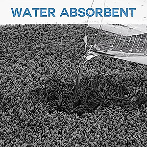EGYPHY Bathroom Rugs Shaggy Bath Mat, Soft and Absorbent Carpet, Non-Slip Mats Can be Used for Shower, Bathtub, Kitchen, Machine Washable Rug Pad, Plush Microfiber Bath Rugs 17x24 Inches Gray
