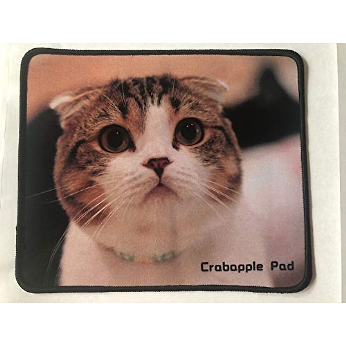 2020 Newest Dell Inspiron 15 3000 PC Laptop: 15.6" HD Anti-Glare LED-Backlit Nontouch Display, Intel 2-Core 4205U Processor, 8GB RAM, 1TB HDD, WiFi, Bluetooth, HDMI, Webcam, Win 10