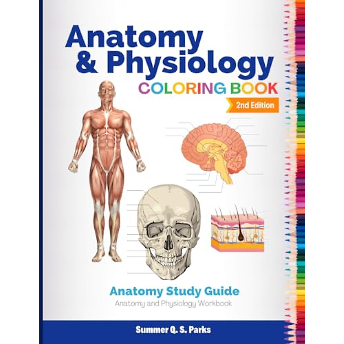 Anatomy and Physiology Coloring Book: Anatomy Study Guide. Anatomy and Physiology Workbook