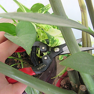 TABOR TOOLS K7A Straight Pruning Shears with Carbon Steel Blades, Florist Scissors, Multi-Tasking Garden Snips for Arranging Flowers, Trimming Plants and Harvesting Herbs, Fruits or Vegetables.