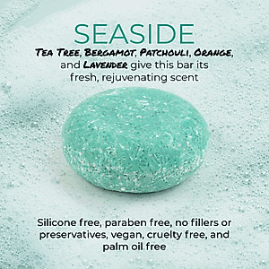 Suds & Co. Solid Shampoo Bar, Zero Waste Shampoo, Natural Shampoo Bar Soap, Sustainable, Eco-Friendly Hair Care - Seaside,3.0 Ounce