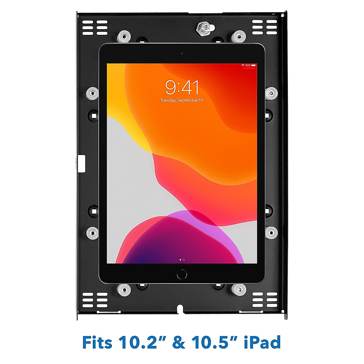 Mount-It! Anti-Theft iPad 8 Wall Mount | Locking iPad 10.2 Wall Kiosk | Security iPad 10.2 Enclosure for 8th Generation iPad 10.2 inch or 10.5 iPad Pro (MI-3772B_G8)