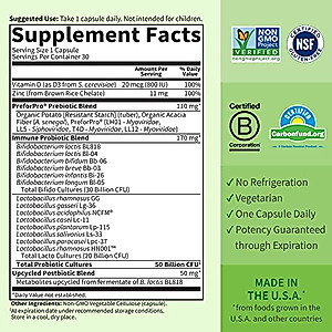 Garden of Life Dr Formulated Probiotics Immune Support, Complete with Prebiotics, Postbiotics, D3 & Zinc for Gut and Digestive Health - Organic Vegan Prebiotic Fiber for Women and Men - 30 Day Supply