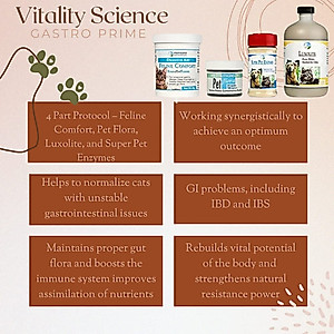Vitality Science - Gastro Prime Combo for Cats | Supports Normal GI Function and Improves Nutrient Assimilation