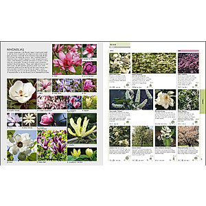 Encyclopedia of Plants and Flowers