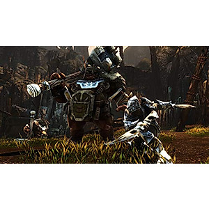 Kingdoms of Amalur Re-Reckoning - Nintendo Switch