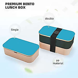 Sea Cyan Premium Bento Lunch Box, 2 Compartments Leakproof Lunch Box With Cutlery For Adults, Microwave & Dishwasher Safe