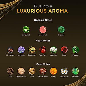 RAYAN Kown Modern Oud Perfume for Men - Long Lasting Arabian Eau De Parfum, 100mL (3.34 Fl oz), Contains Bergamot, Lavender, Cypress, Cardamom, Oud & Cedarwood, Ideal Gift for Him for Ramadan & Eid