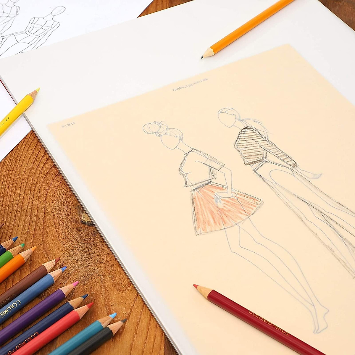 Paper Junkie 50 Sheets Tracing Paper Pad for Drawing, Translucent 11x17 Vellum for Blueprints, Crafts (White)