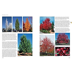 The Tree Book: Superior Selections for Landscapes, Streetscapes, and Gardens