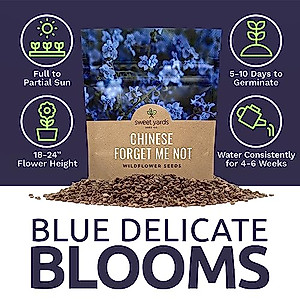 Chinese Forget Me Not Wildflower Seeds - Bulk 1 Ounce Packet - Over 5,500 Open Pollinated Seeds - Blue Cynoglossum amabile
