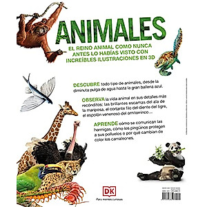Animales (Knowledge Encyclopedia Animal!): El reino animal como nunca lo habías visto (DK Knowledge Encyclopedias) (Spanish Edition)