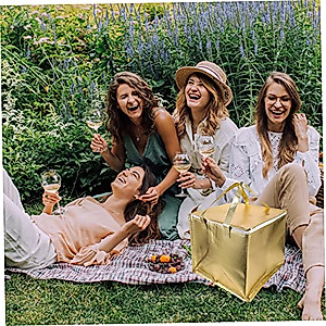 ULTECHNOVO Insulation Bags Heavy Duty Backpack Heavy Duty Totes Cooler Back Pack Coolers Insulated Grocery Bag Grocery Delivery Bag Multi-function Food Bag Handle Design Food Bag Takeaway Bag