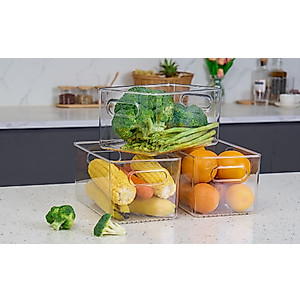 Faryuan 4 PCS Clear Plastic Storage Bins, Refrigerator Organizer Bins with Handles, Pantry Organizer Bins for Food, BPA-Free Fridge Organizer for Fridge, Freezer, Kitchen, Cabinet, Pantry, 10" Long