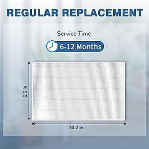 HEPA Air Purifier Filter R Replacement for Honeywell Air Purifier HPA100/200/300 and 5000 Series, 6 Pack True HEPA Filter Compatible with Honeywell R Filter (HRF-R3 & HRF-R2 & HRF-R1)