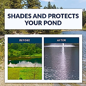Airmax Twilight Blue Pond Dye Pond Dye, 4X Liquid Concentrate, Treats Like 1 Gallon, Ecofriendly, Clean & Clear Water, No Mixing & Easy to Use, Enhances Natural Color, Treats up to 1 Acre, 1 Quart