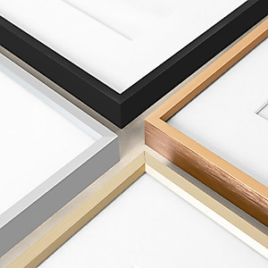 Golden State Art, 16x20 Gold Picture Frame Displays Photo 11x14 with Mat or 16 x 20 Without Mat for Wall Mounting, Classic Satin Aluminum Frames with Real Glass (Pack of 1)