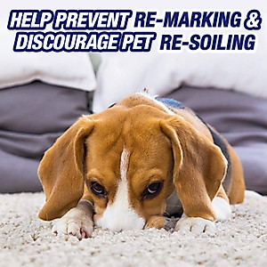 Reckitt Benckiser Urine Destroyer 32 OZ Spray Bottle Citrus 6 Per Each Carton